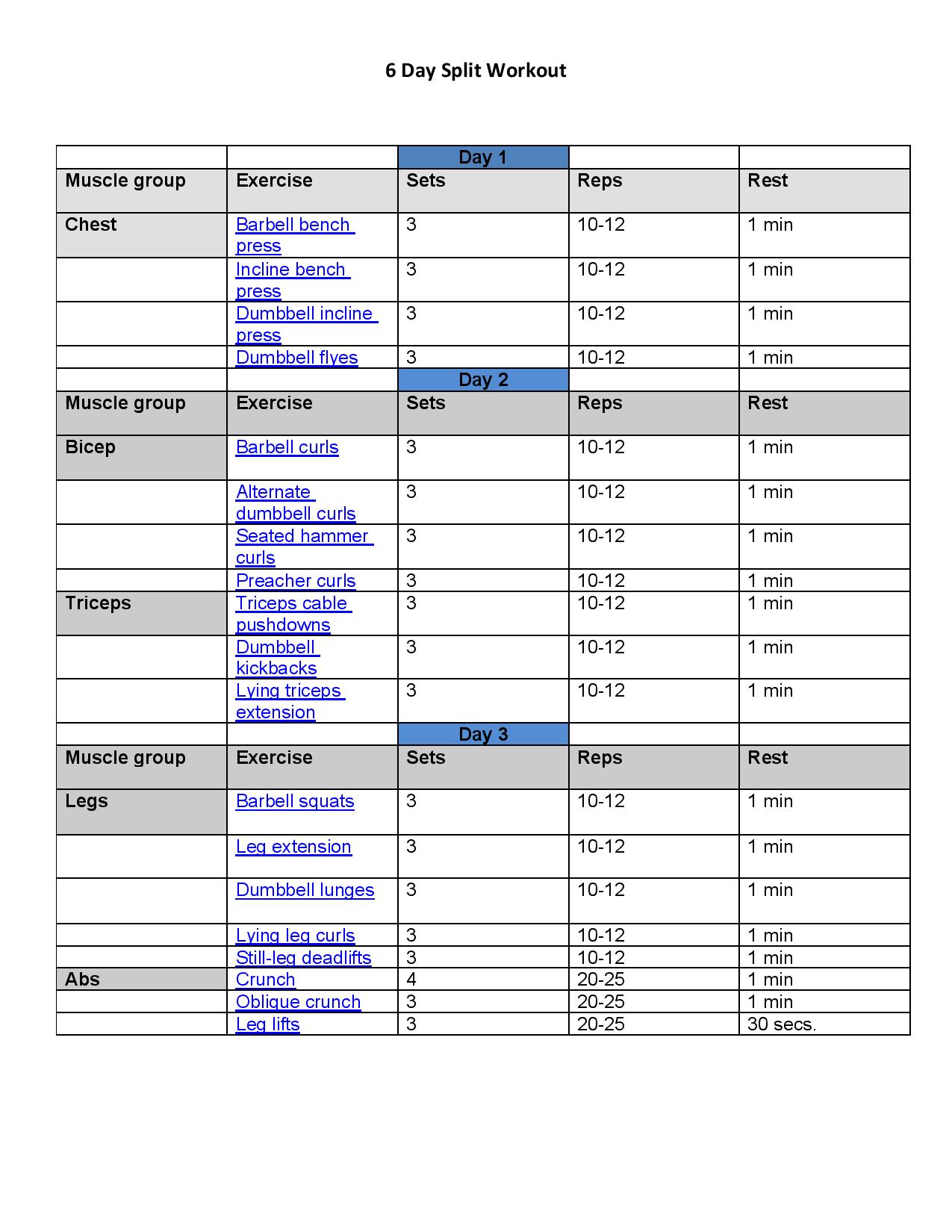 6 Day Split Workout Muscle Sculpting